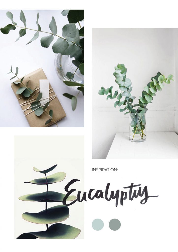 Inspired by: EUCALYPTUS - Kinlake | Creative Folks